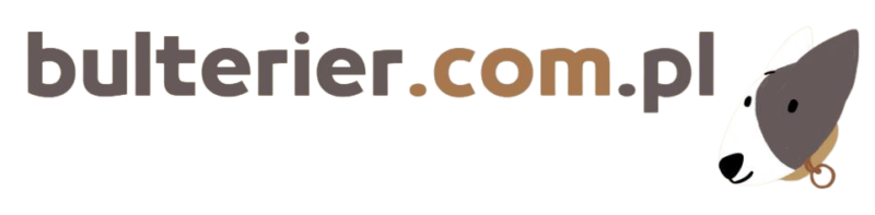 Bulterier miniaturowy - charakter, umaszczenia, szczenięta | Bulterier ...